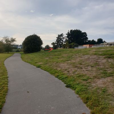 New Zealand Disc Golf - Your Guide to Disc Golf in New Zealand | UDisc