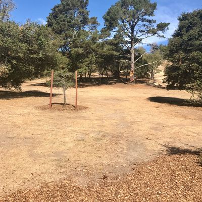 DeLaveaga DGC - Santa Cruz, CA | UDisc Disc Golf Course Directory