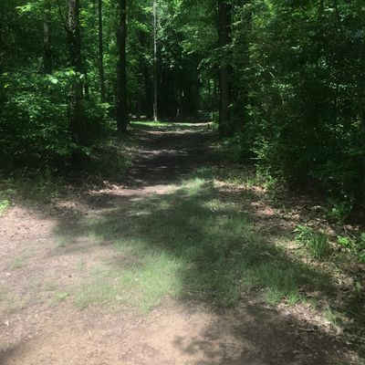 Stuart Nelson Park - Paducah, KY | UDisc Disc Golf Course Directory | UDisc