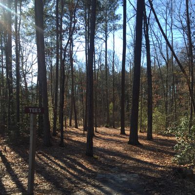 Dunncroft/Castle Point Park - Glen Allen, VA | UDisc Disc Golf Course ...