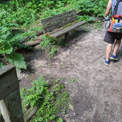 Staring Lake Park - Eden Prairie, MN | UDisc Disc Golf Course Directory