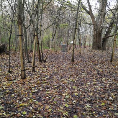 Valbyparken Disc Golf - København, Denmark | UDisc Disc Golf Course ...