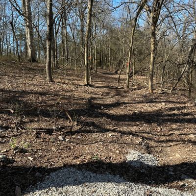 Northside DGC - Springfield, MO | UDisc Disc Golf Course Directory | UDisc