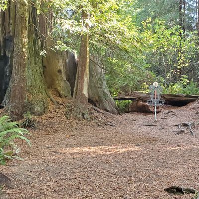 The Redwood Curtain - Arcata, CA | UDisc Disc Golf Course Directory