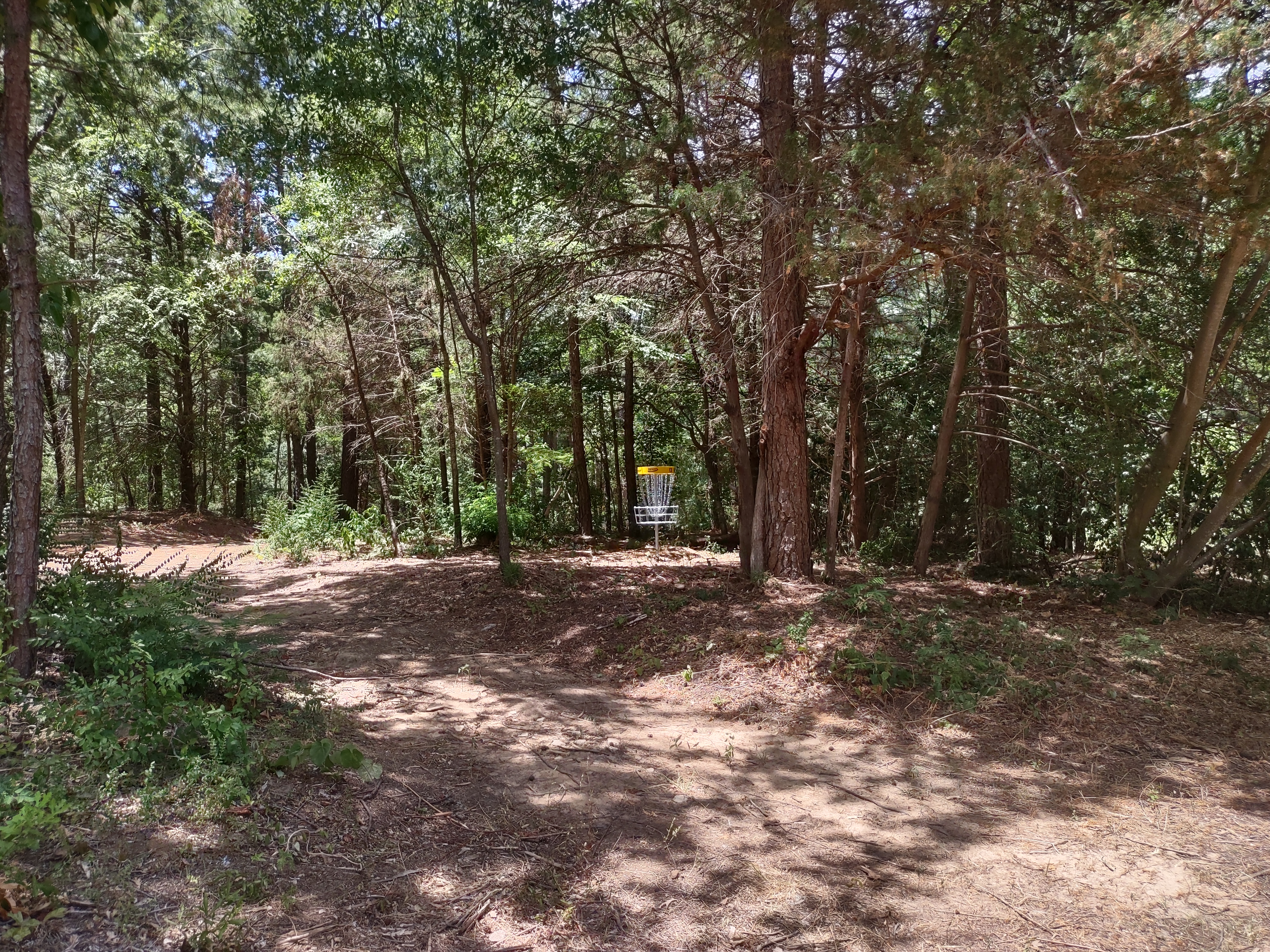 TJC Apache DiscGolf | Tyler, TX | UDisc Events