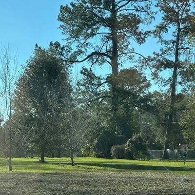 Paradise Park DGC - Tallahassee, Florida | UDisc Disc Golf Course Directory