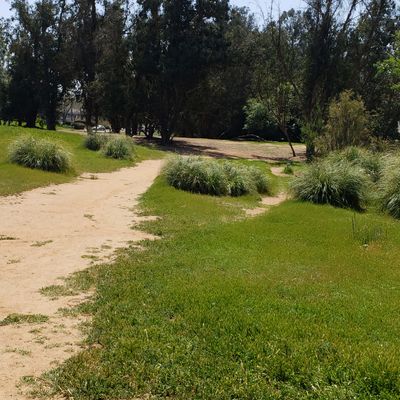 Kit Carson Park - Escondido, CA | UDisc Disc Golf Course Directory