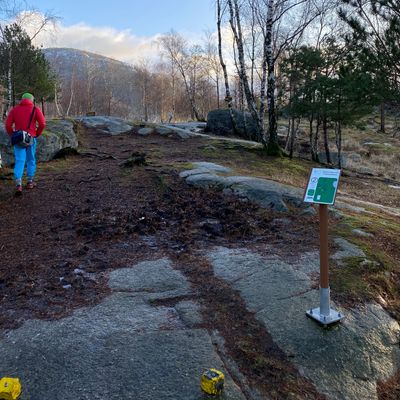 Norway Disc Golf - Your Guide to Disc Golf in Norway | UDisc