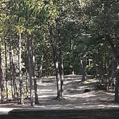 Whitehall DGC - Whitehall, MI | UDisc Disc Golf Course Directory