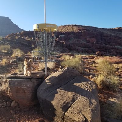 Base Camp Adventure - Moab, UT | UDisc Disc Golf Course Directory