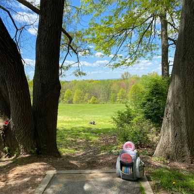 Wickham Park - Manchester, CT | UDisc Disc Golf Course Directory | UDisc