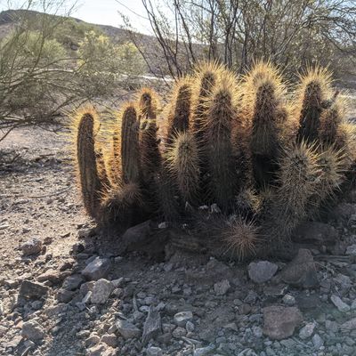 Papago (aka Moeur Park) - Tempe, AZ | UDisc Disc Golf Course Directory