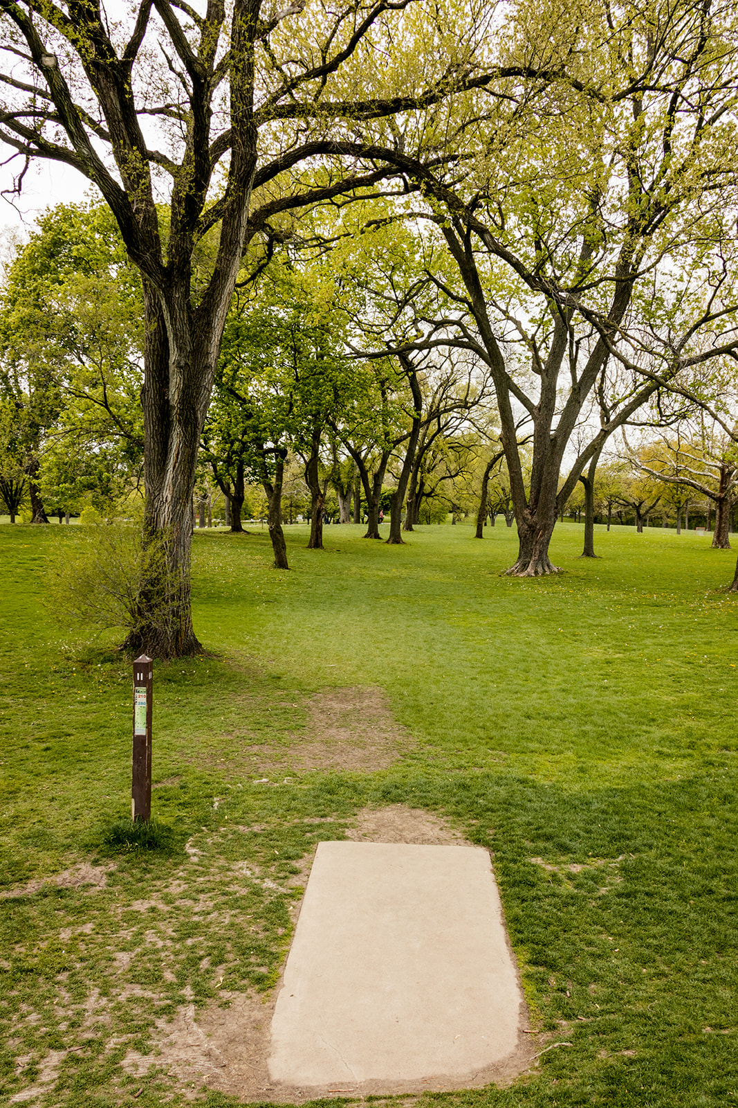 Gentlemen's Club Disc Golf - Gentlemen's Club Disc Golf @KLM | Hinsdale ...