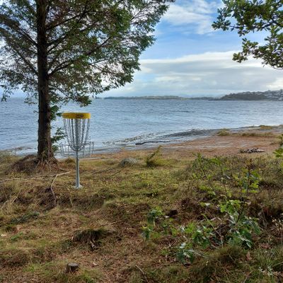 Norway Disc Golf - Your Guide to Disc Golf in Norway | UDisc