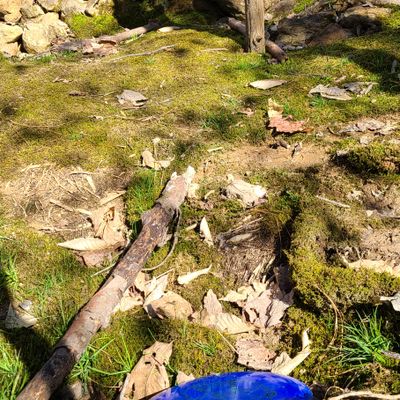 Valley Springs Park - Durham, NC | UDisc Disc Golf Course Directory