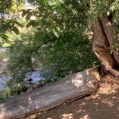 Edora Park - Fort Collins, CO | UDisc Disc Golf Course Directory | UDisc