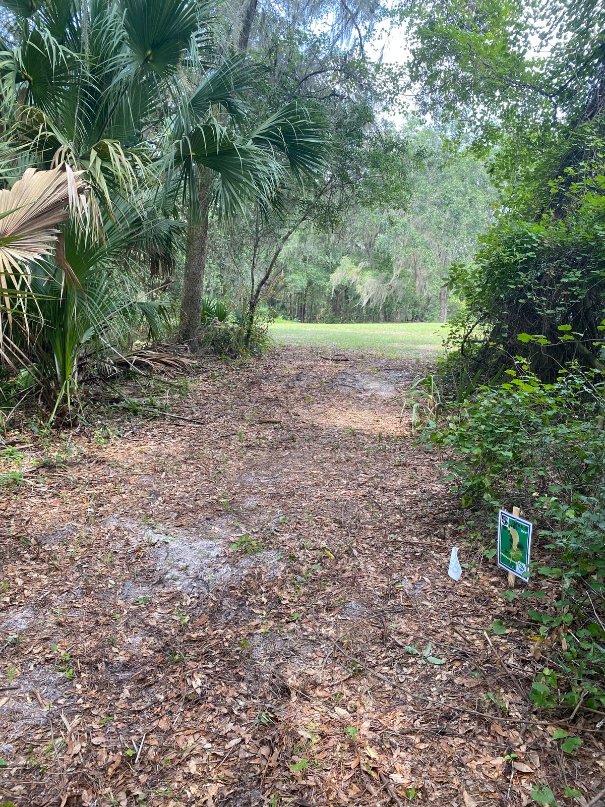 Cuscowilla | Course Photos