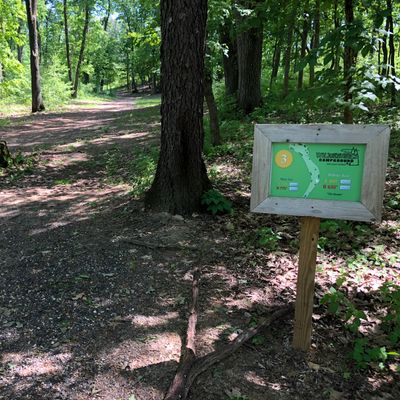 Wilderness - Montello, WI | UDisc Disc Golf Course Directory