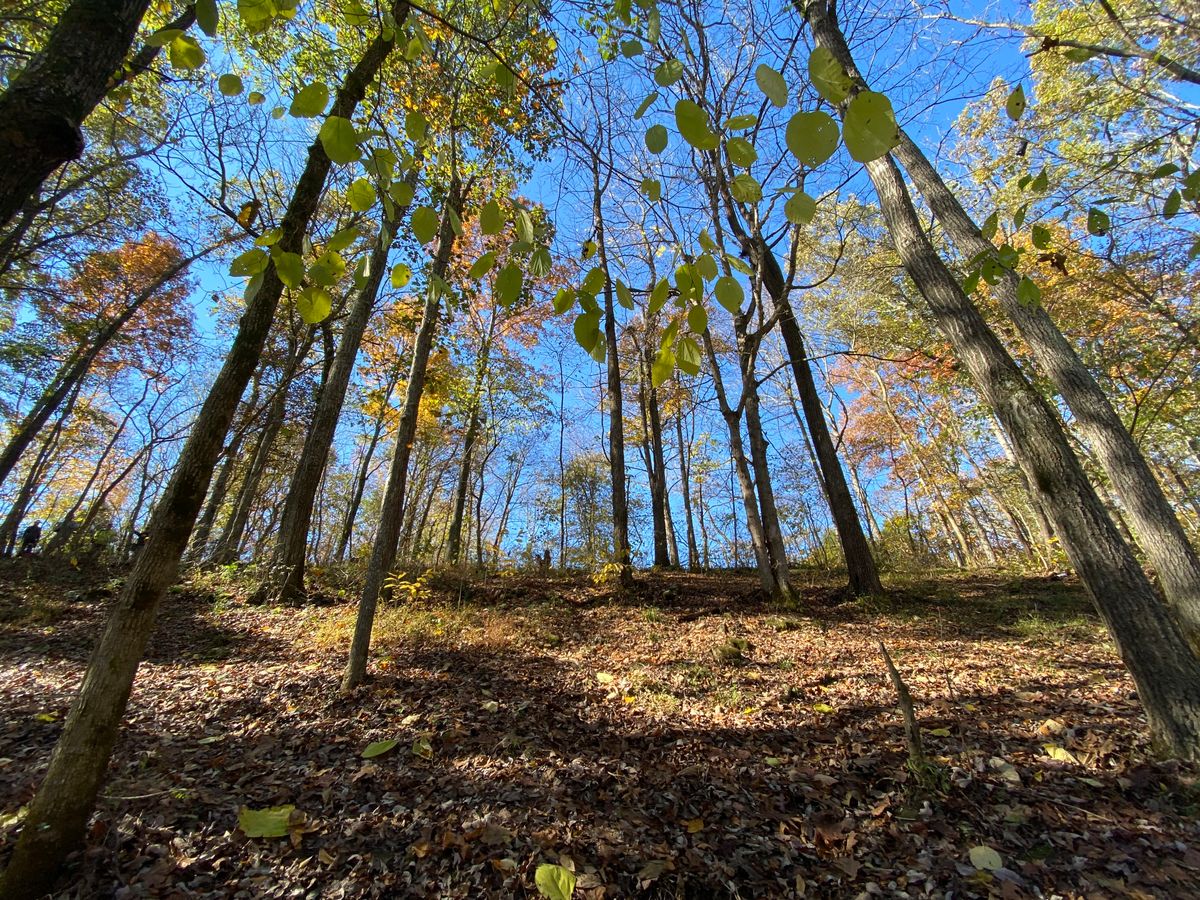 Chalybeate Springs Sports Complex | Course Photos