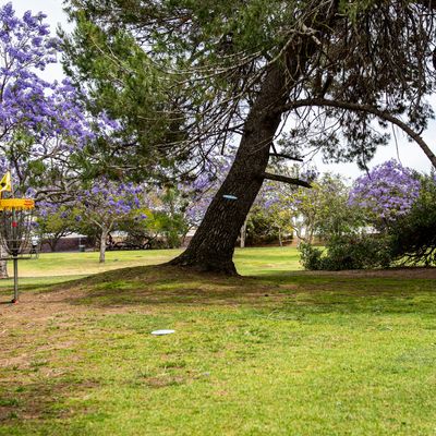Morley Field - San Diego, California | UDisc Disc Golf Course Directory