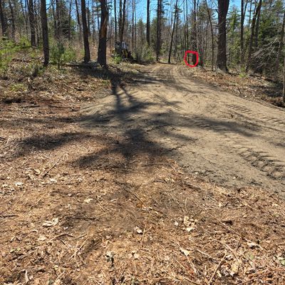 Bailey Brook DGC - Gardner, MA | UDisc Disc Golf Course Directory