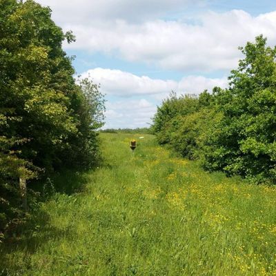 Cotgrave Country Park - Nottingham, United Kingdom | UDisc Disc Golf ...