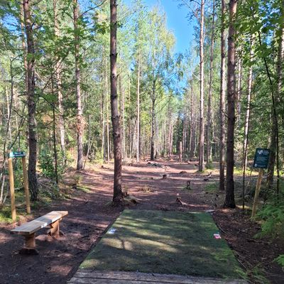 Norway Disc Golf - Your Guide to Disc Golf in Norway | UDisc