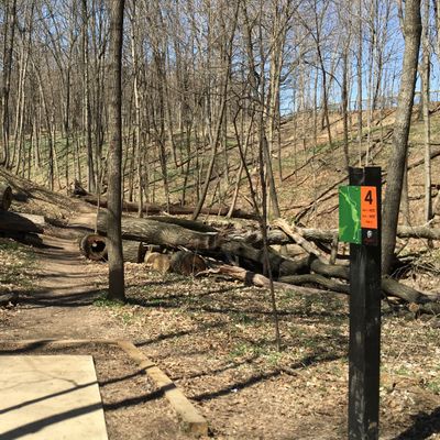 Megiddo - Morton, IL | UDisc Disc Golf Course Directory