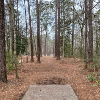 Castle Hayne Park - Castle Hayne, NC | UDisc Disc Golf Course Directory