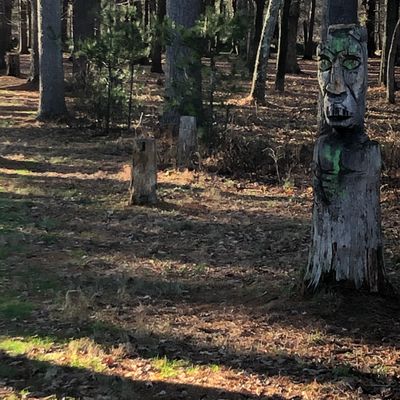 Tinicum Park - PA | UDisc Disc Golf Course Directory