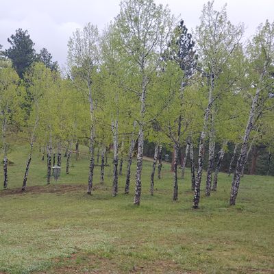 Beaver Ranch Disc Golf Course - Conifer, CO | UDisc Disc Golf Course ...