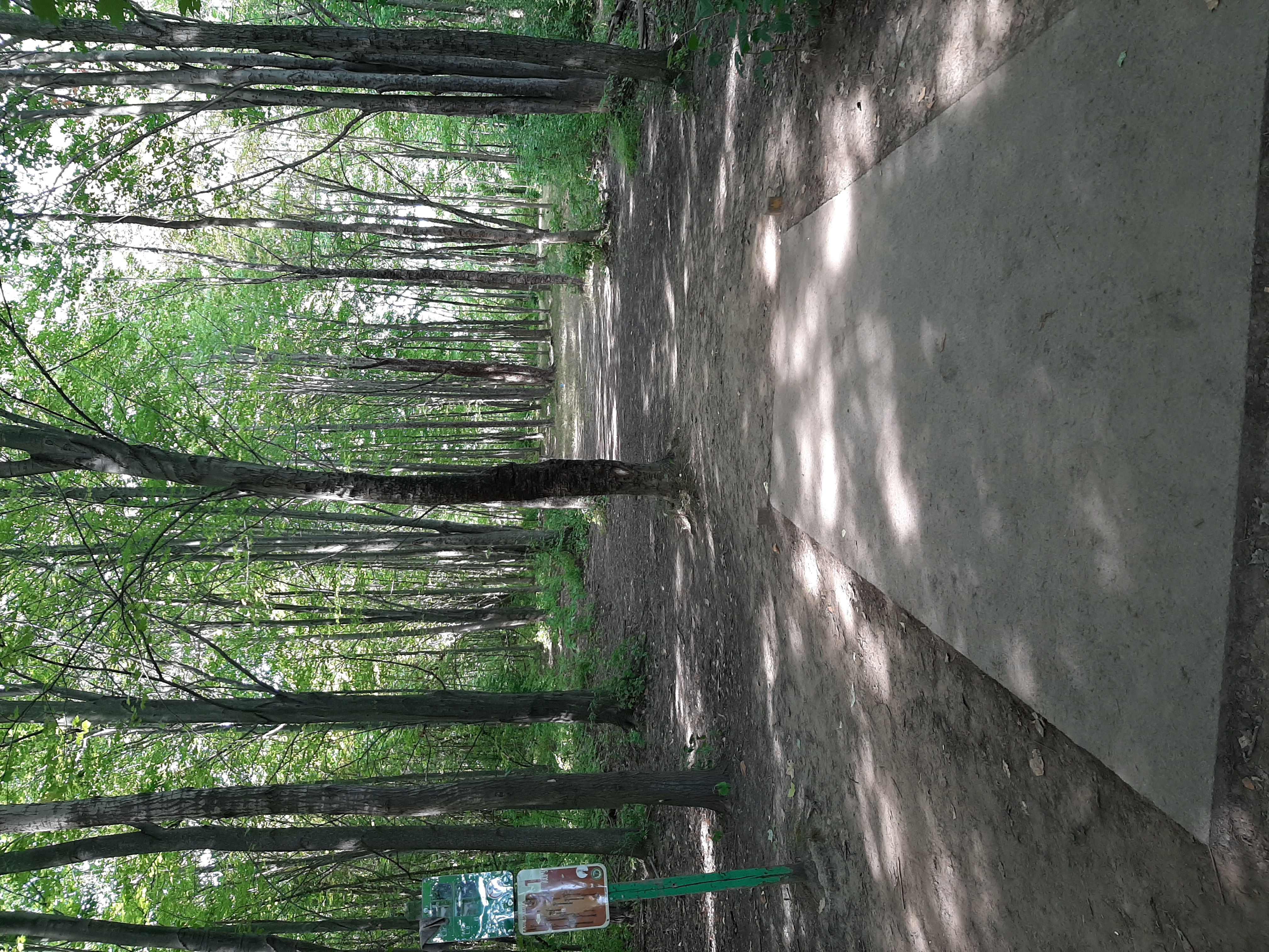 Disc Golf Course closed for Cross Country Meet | Rochester, NY | UDisc ...