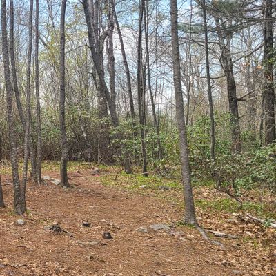 Norbrook Farm - Colebrook, CT | UDisc Disc Golf Course Directory | UDisc