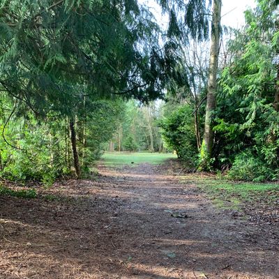 Seatac - SeaTac, WA | UDisc Disc Golf Course Directory