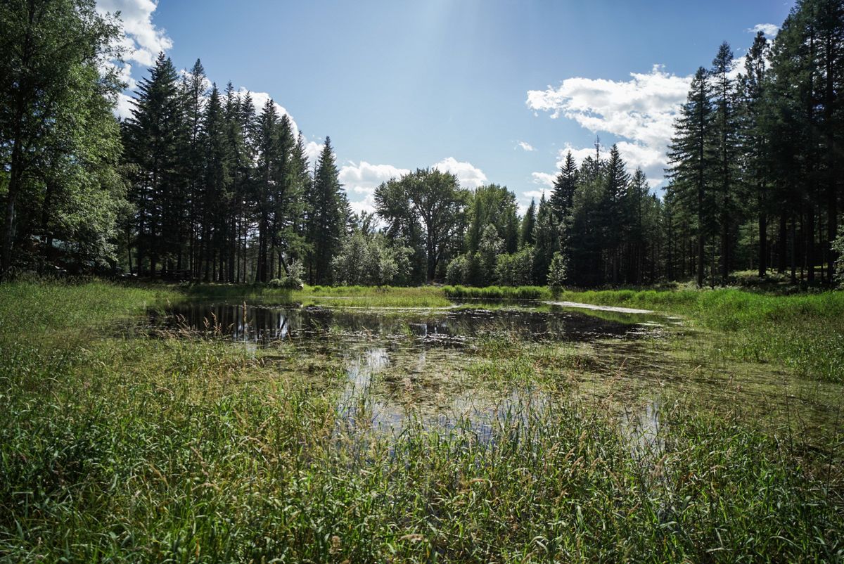Caliber DGC | Course Photos