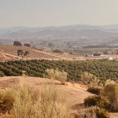 Sunview Park - Torrealquería, Spain | UDisc Disc Golf Course Directory