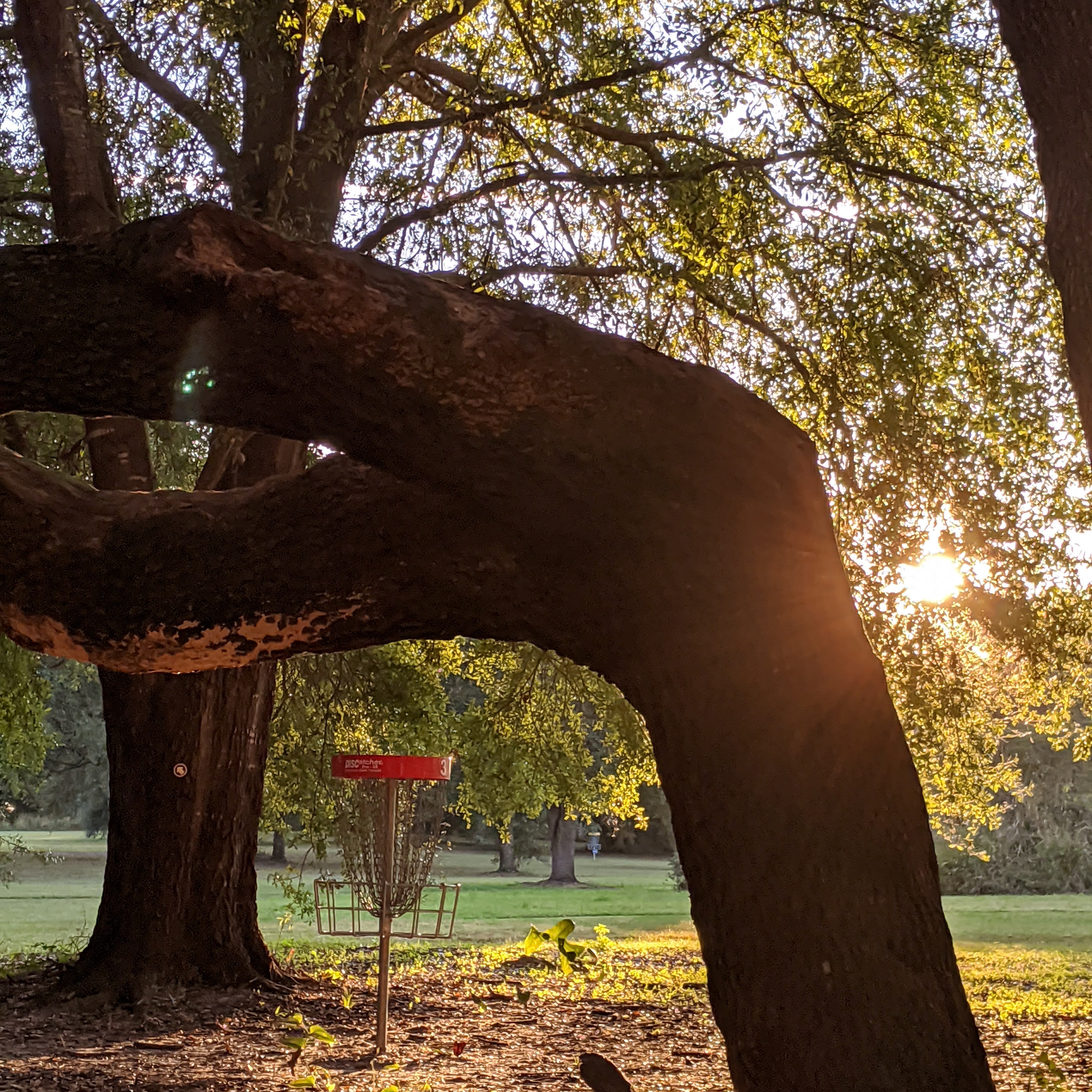 Sunday Early Birds - Sunday Early Birds | Groveland, Florida | UDisc Events