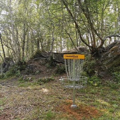 Norway Disc Golf - Your Guide to Disc Golf in Norway | UDisc