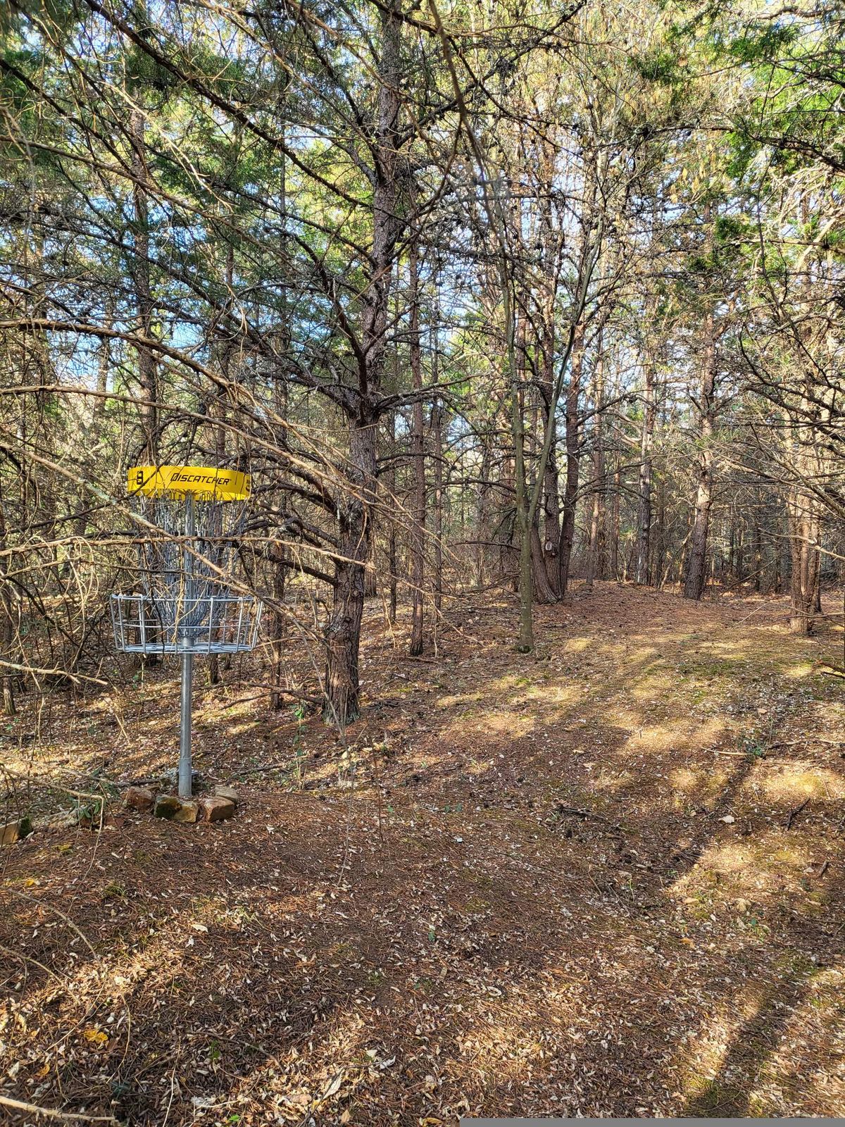 Thistle Ridge Disc Golf Trail | Course Photos