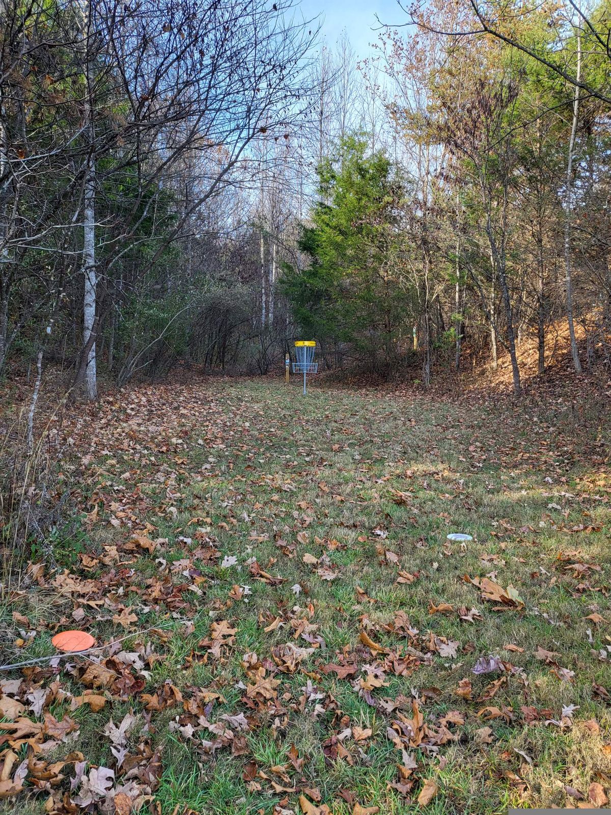 Thistle Ridge Disc Golf Trail | Course Photos