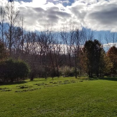 Simsbury DGC - Pickerington, OH | UDisc Disc Golf Course Directory | UDisc