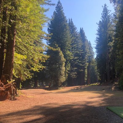 Brooktrails - Willits, CA | UDisc Disc Golf Course Directory