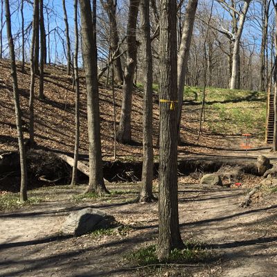 Megiddo - Morton, IL | UDisc Disc Golf Course Directory