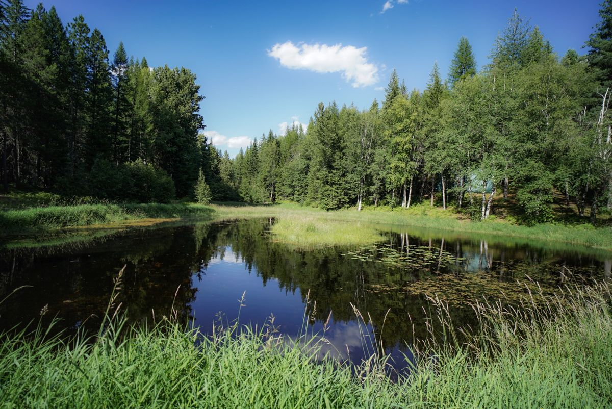Caliber DGC | Course Photos