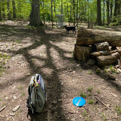 Wickham Park - Manchester, CT | UDisc Disc Golf Course Directory