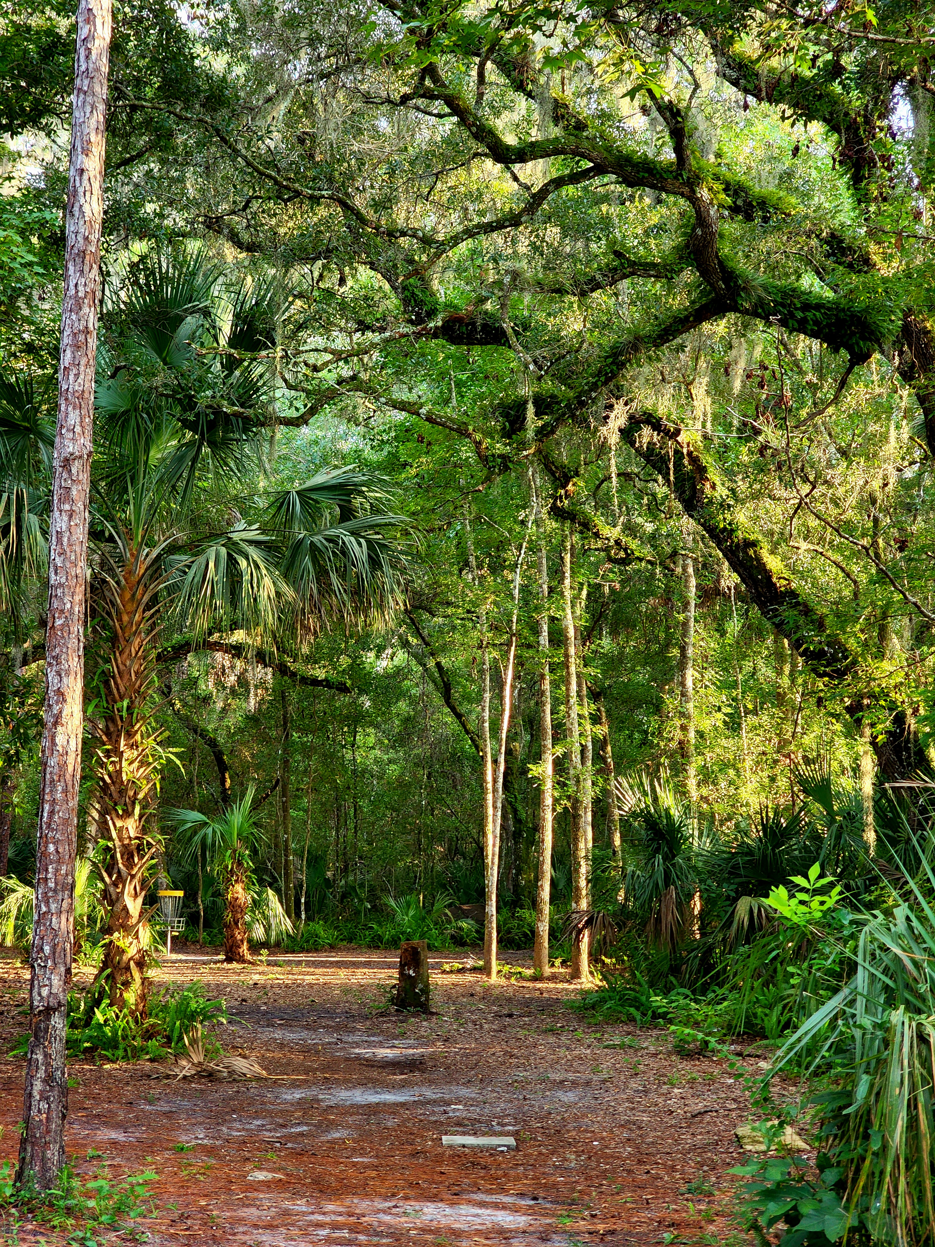 5th Annual NSB Ironman presented by Latitude 64 | New Smyrna Beach ...