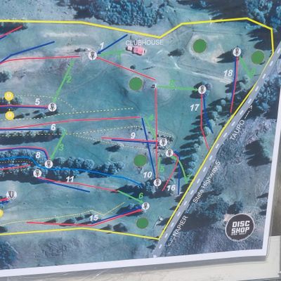 New Zealand Disc Golf - Your Guide to Disc Golf in New Zealand | UDisc