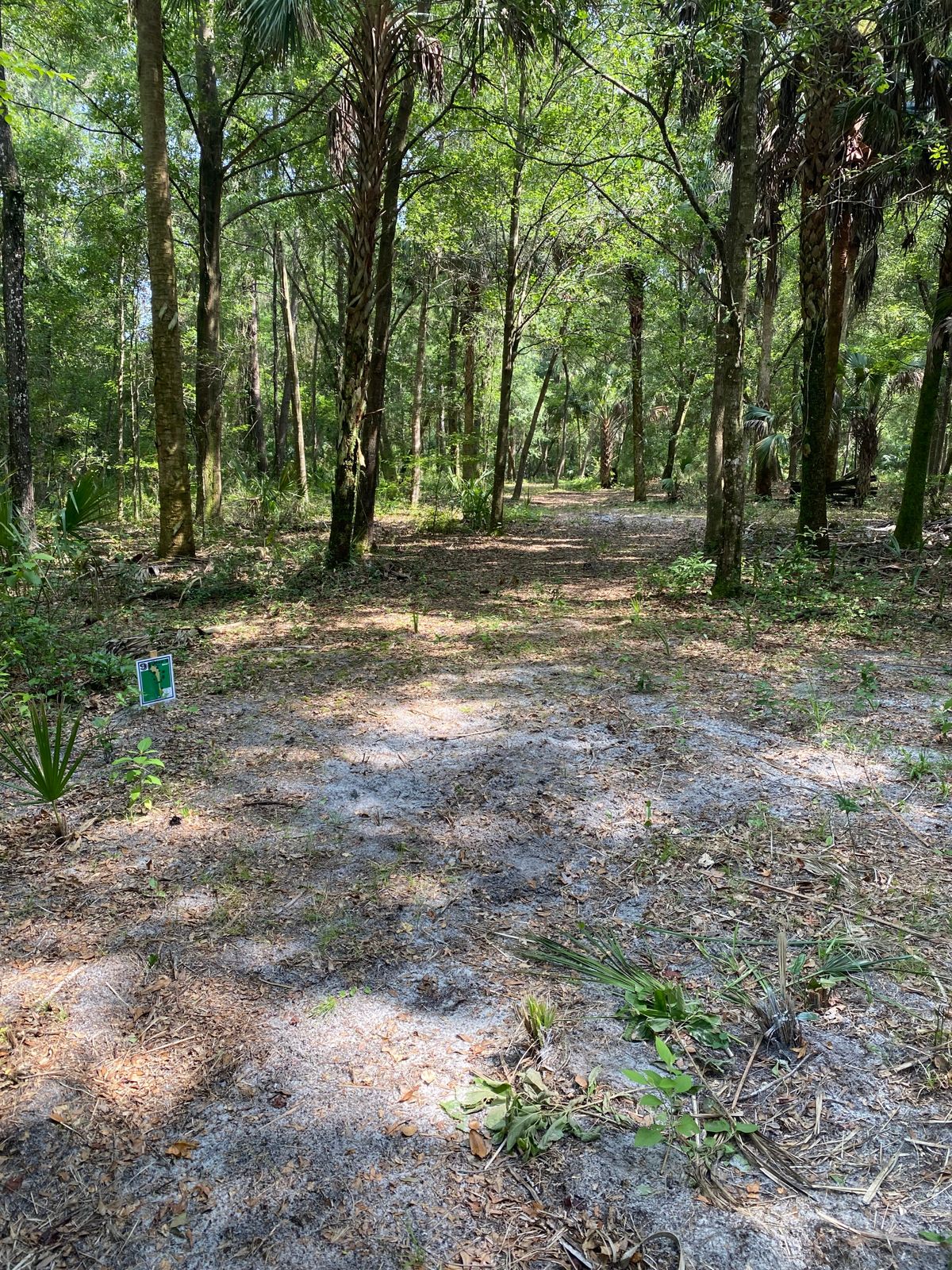 Cuscowilla | Course Photos