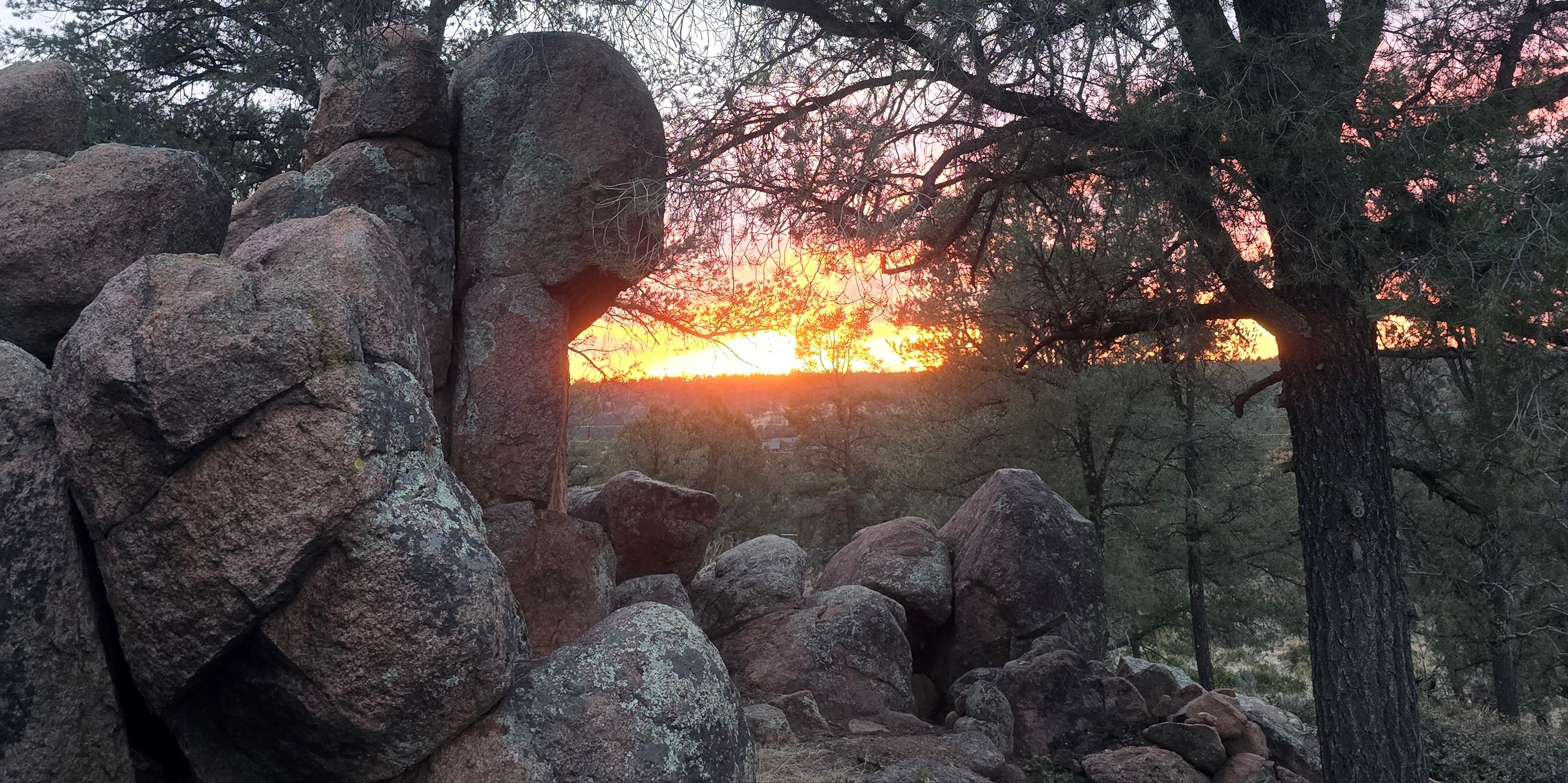 Mogollon Monster DG League | Payson, Arizona | UDisc Leagues