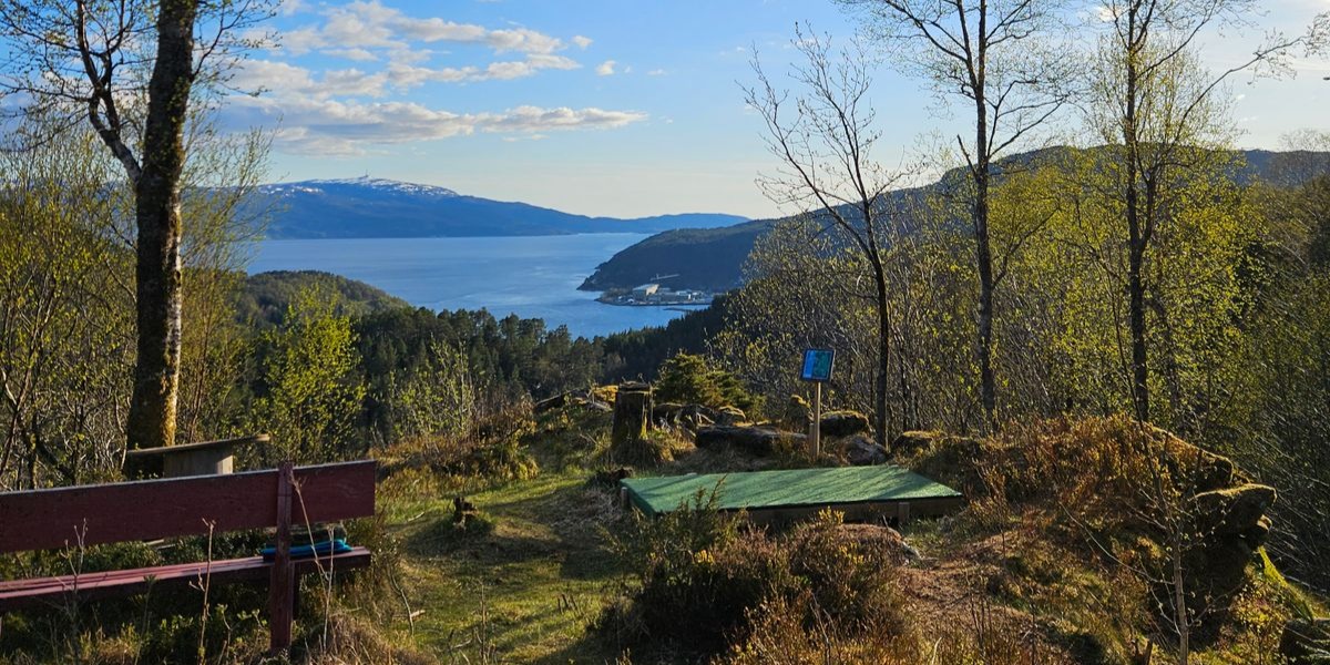 Torsdagskast på Haukåsen | Leirvik i Sogn, Norway | UDisc Leagues
